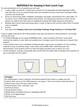 STEM Design Challenge for MS-PS-3-3 Design an Insulated Cold Thermal ...