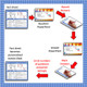 Forces - The Complete Middle School Module Plus 2 Test Prep Lessons ...