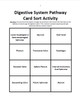 Digestive System Pathway Card Sort Activity - Amped Up Learning