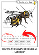 Bees, Flowers and Pollination - Digital and Paper resources