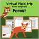 Virtual Field Trip to the Forest