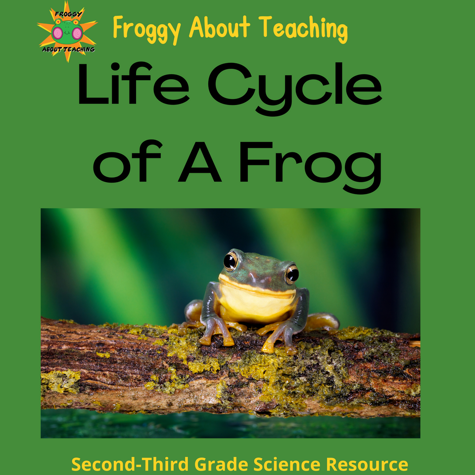 Life Cycle Of A Frog life-cycle-of-a-frog
