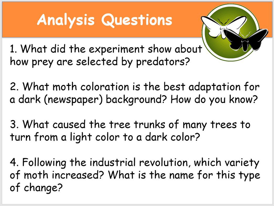 The Peppered Moth - Natural Selection - Amped Up Learning