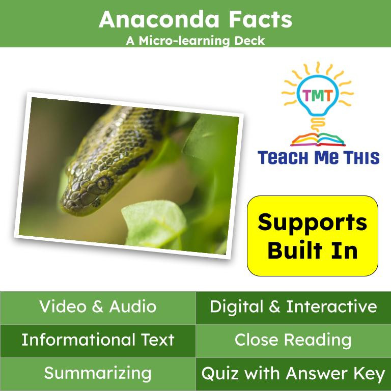 Anaconda Informational Text Reading Passage and Activities