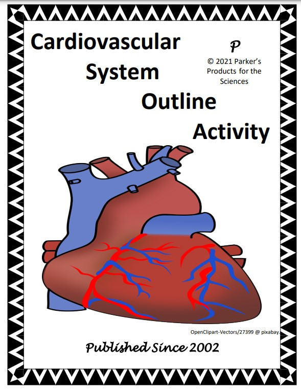 Cardiovascular System Outline Activity