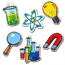 Foss Science 3rd grade MOTION AND MATTER BUNDLE! - Amped Up Learning