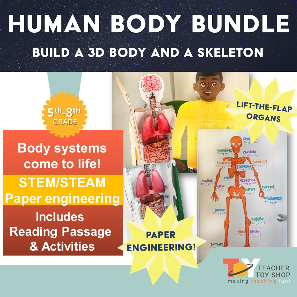 GIANT Human Body Systems STEM Project