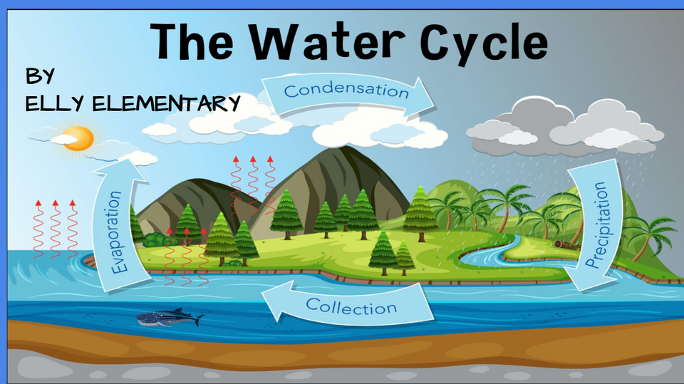 Penny Water Lab - Amped Up Learning