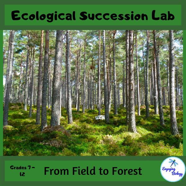 Ecological Succession Lab - Amped Up Learning