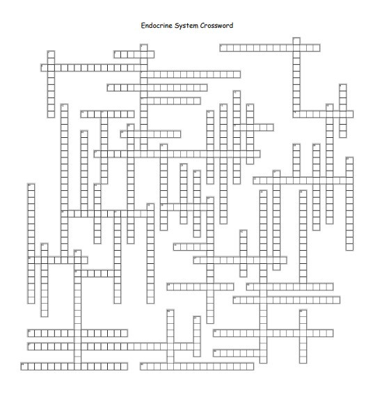 The Endocrine System Review Bundle for Anatomy or Physiology - Amped Up ...