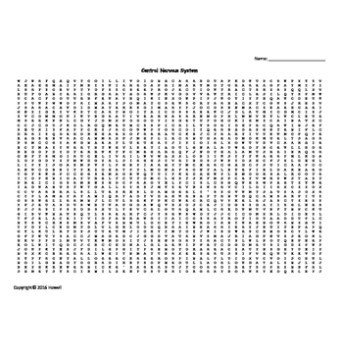 Anatomy Vocabulary Word Search Bundle - Amped Up Learning