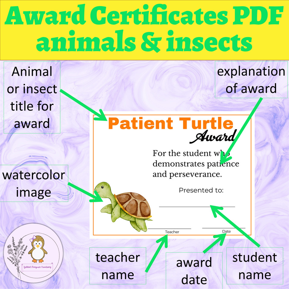 End of the Year Award Certificates Animal Insect Editable Preschool ...