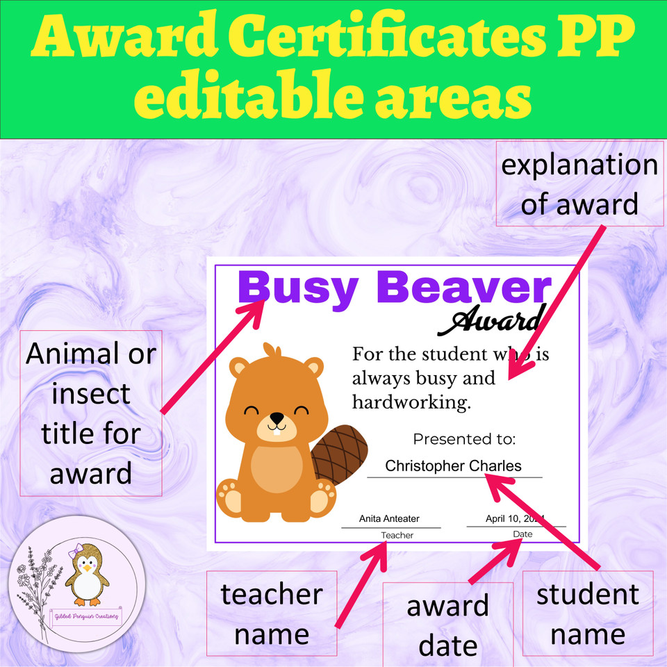 End of the Year Award Certificates Animal Insect Editable Preschool ...