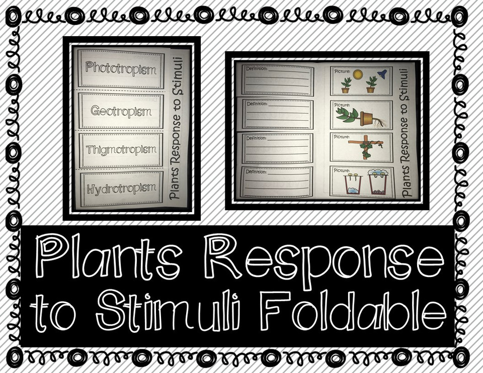 Plants Response to Stimuli Interactive Notebook / Foldable - Amped Up ...