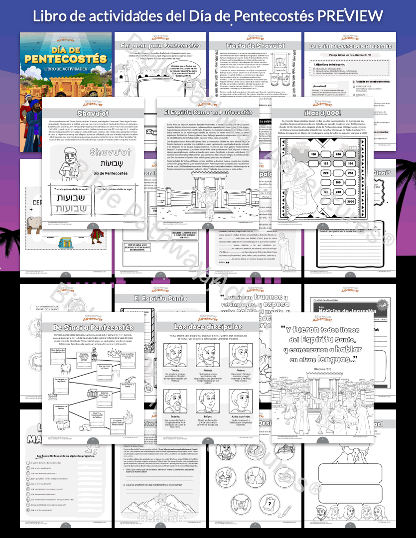 BUNDLE: Libros de actividades del Nuevo Testamento