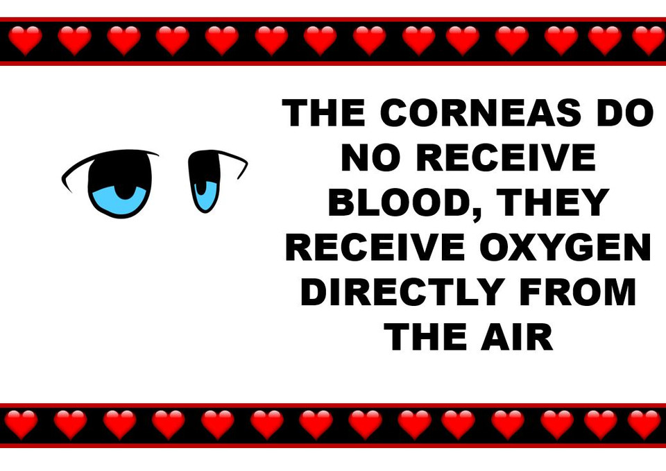 FACT or CRAP- Cardiovascular System Edition (PowerPoint Game) - Amped ...