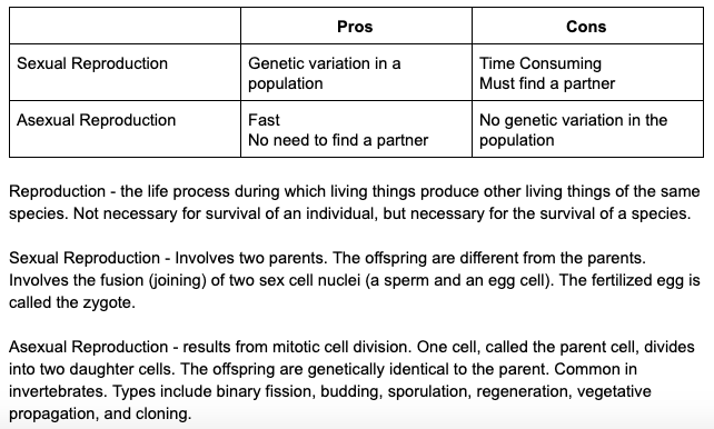 Reproduction Review Sheet - Amped Up Learning