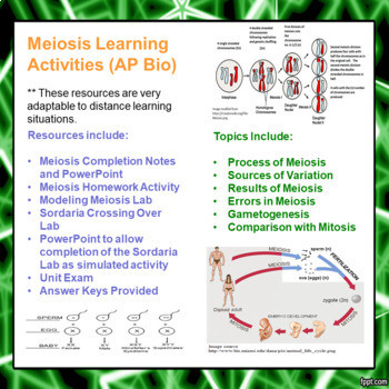 CLASSIFICATION- BIOLOGY DISTANCE LEARNING NOTEBOOK - Amped Up Learning