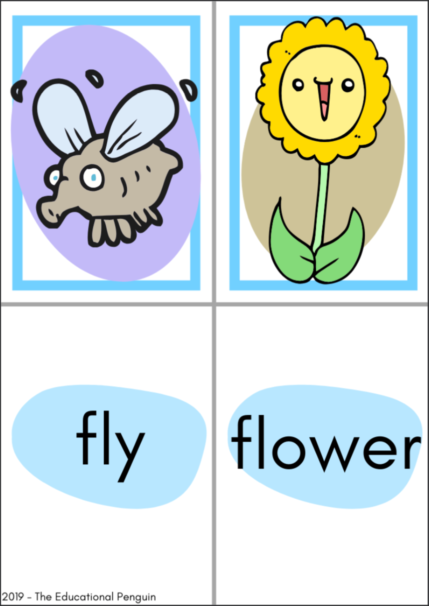 Flash Cards - BLENDS - 'bl', 'br', 'cl', 'cr', 'fl', 'fr', 'gl', 'gr ...