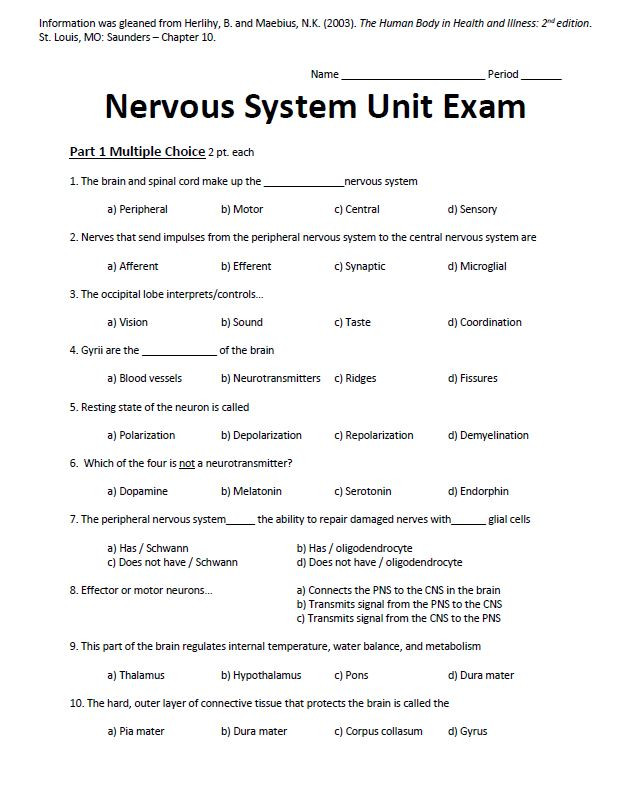 Genetics Unit Exam - Amped Up Learning
