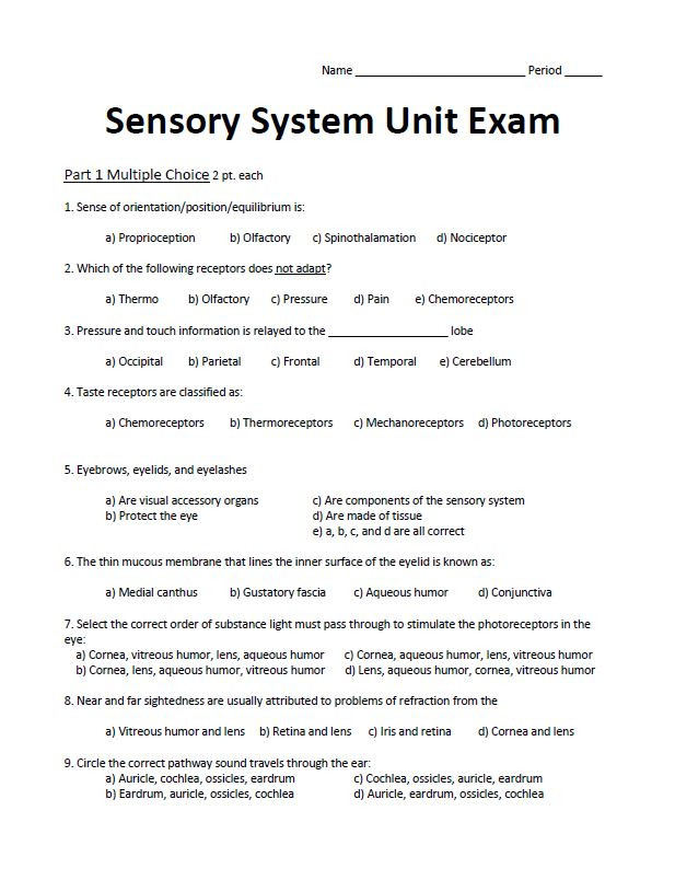 Genetics Unit Exam - Amped Up Learning