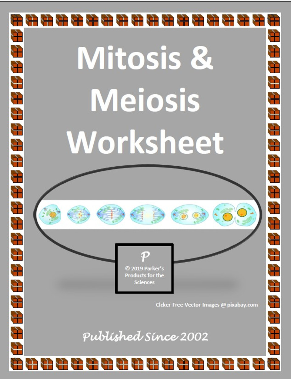 Mitosis Flipbook - Amped Up Learning