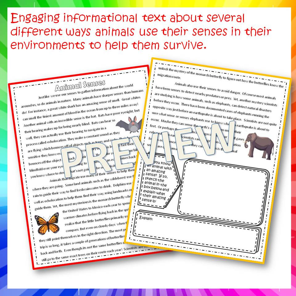 Earth and Human Activity Complete Unit - Amped Up Learning