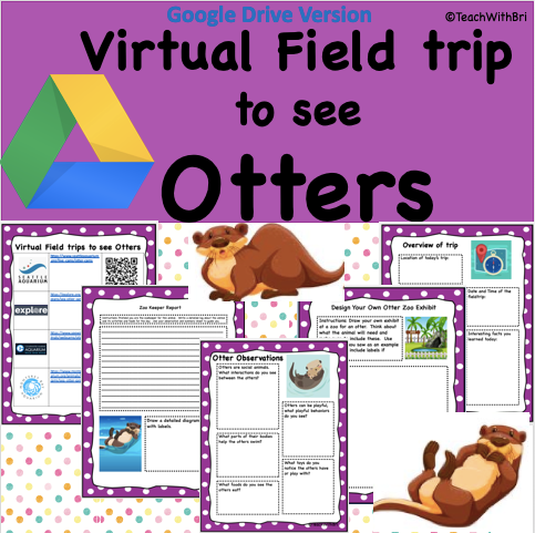 Otters Virtual Field Trip digital version
