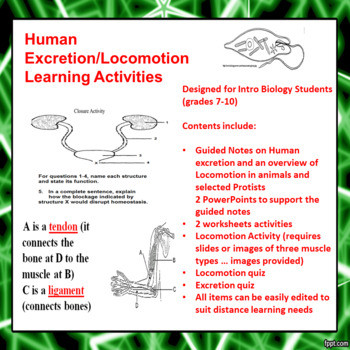 Human Excretion/Locomotion Learning Activities (Distance Learning)