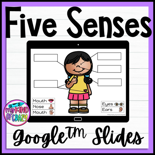 Five Senses Google Slides, Distance Learning, Centers, Spec Ed