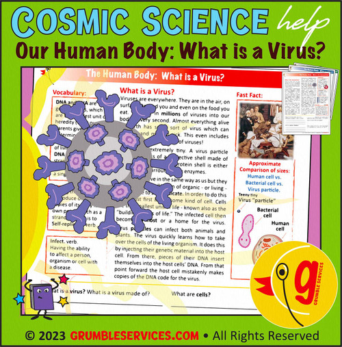 Viruses & Vaccines Bundle: What is a Virus? Our Human Body • VETERAN ...