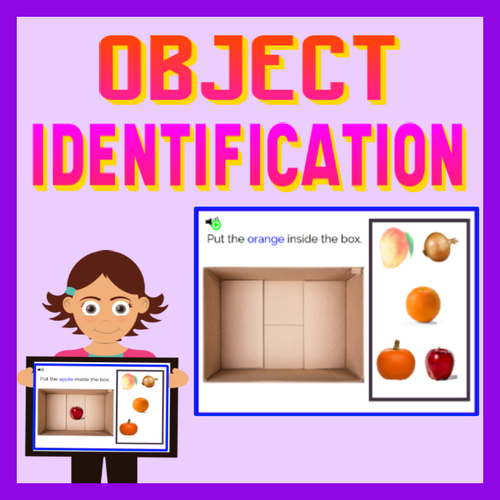 Object Identification for Special Education Boom Cards