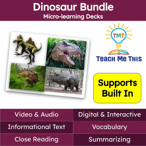 Dinosaurs Informational Text Reading Passage and Activities BUNDLE