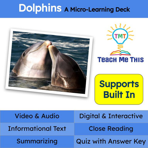 Dolphins Informational Text Reading Passage and Activities