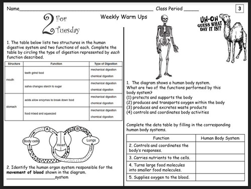 Weekly Science Warm Ups - Amped Up Learning