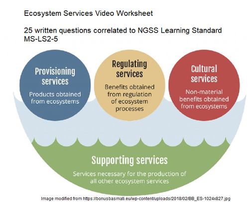 Ecosystem Services Video Worksheet