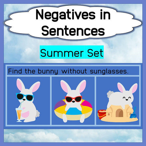 Negatives in Sentences - Summer Set