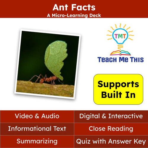 Ants Informational Text Reading Passage and Activities