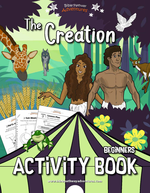 The Creation Activity Book for Beginners