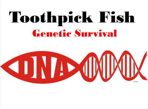 Natural Selection: Toothpick Fish - Amped Up Learning