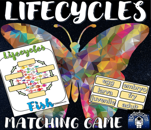 SCIENCE: Life Cycles Matching Game, Sequencing the stages of 8 ...