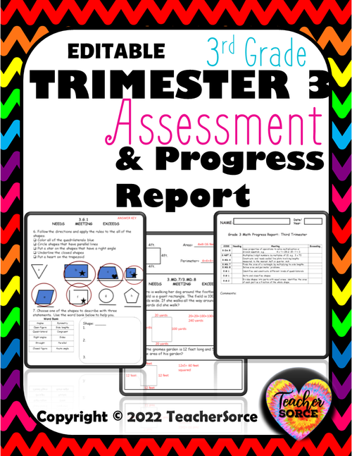Third Grade Standards based math assessment Bridges