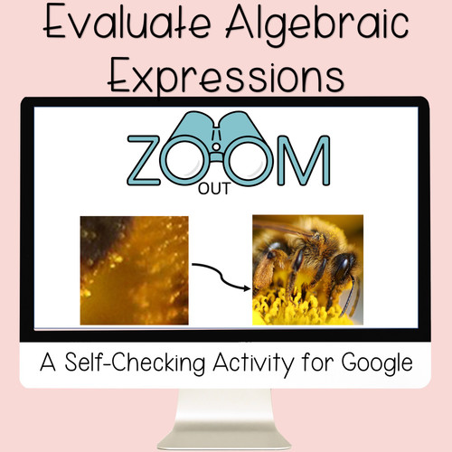 Evaluate Algebraic Expressions Digital Zoom Out Activity