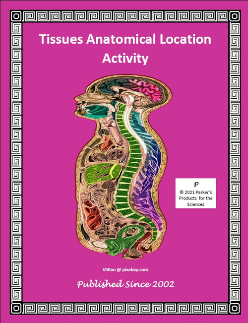 Tissues Anatomical Location Activity - Amped Up Learning