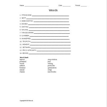 Weeds Vocab Word Scramble for a Plant Science Course - Amped Up Learning