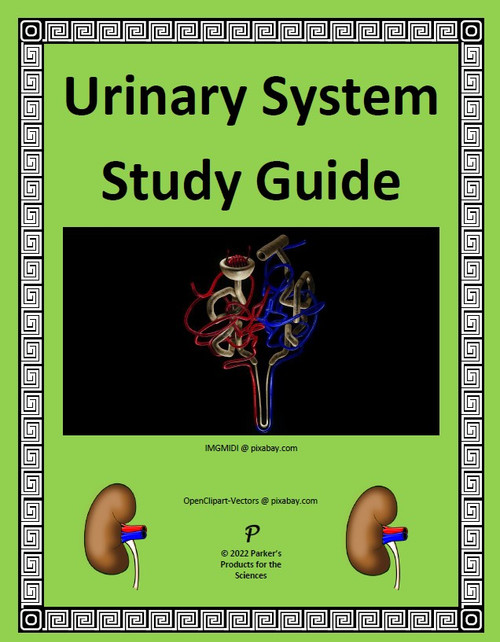 Urinary System Study Guide Packet