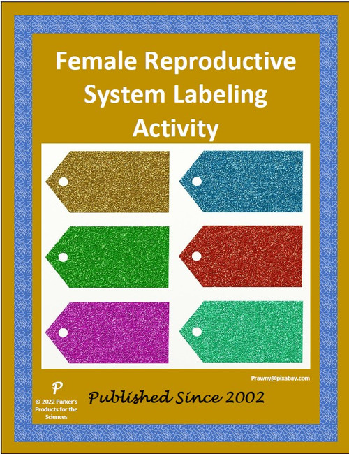 Female Reproductive System Labeling Activity - Amped Up Learning