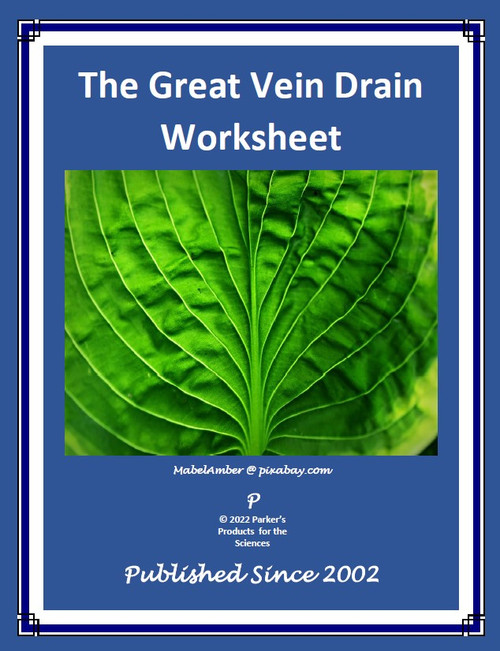 The Great Vein Drain Worksheet - Blood Vessel Mapping Activity - Amped ...