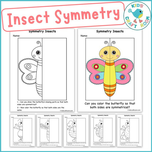 insect symmetry