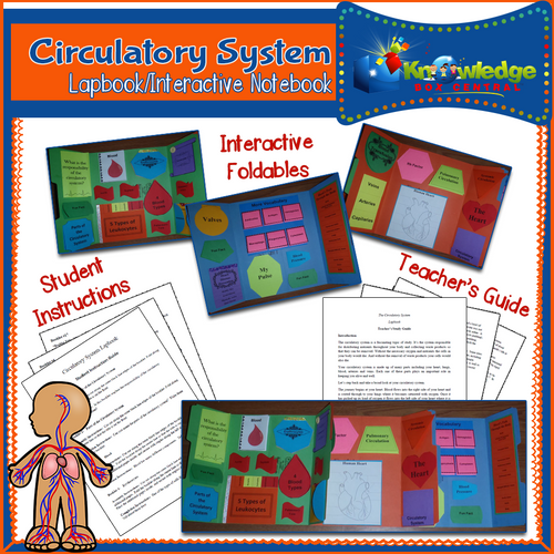 Circulatory System Lapbook